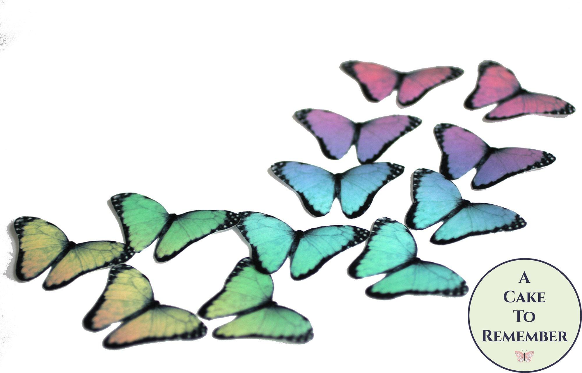 Products Rainbow Pastel Edible Butterflies 12 Wafer Paper Butterfly