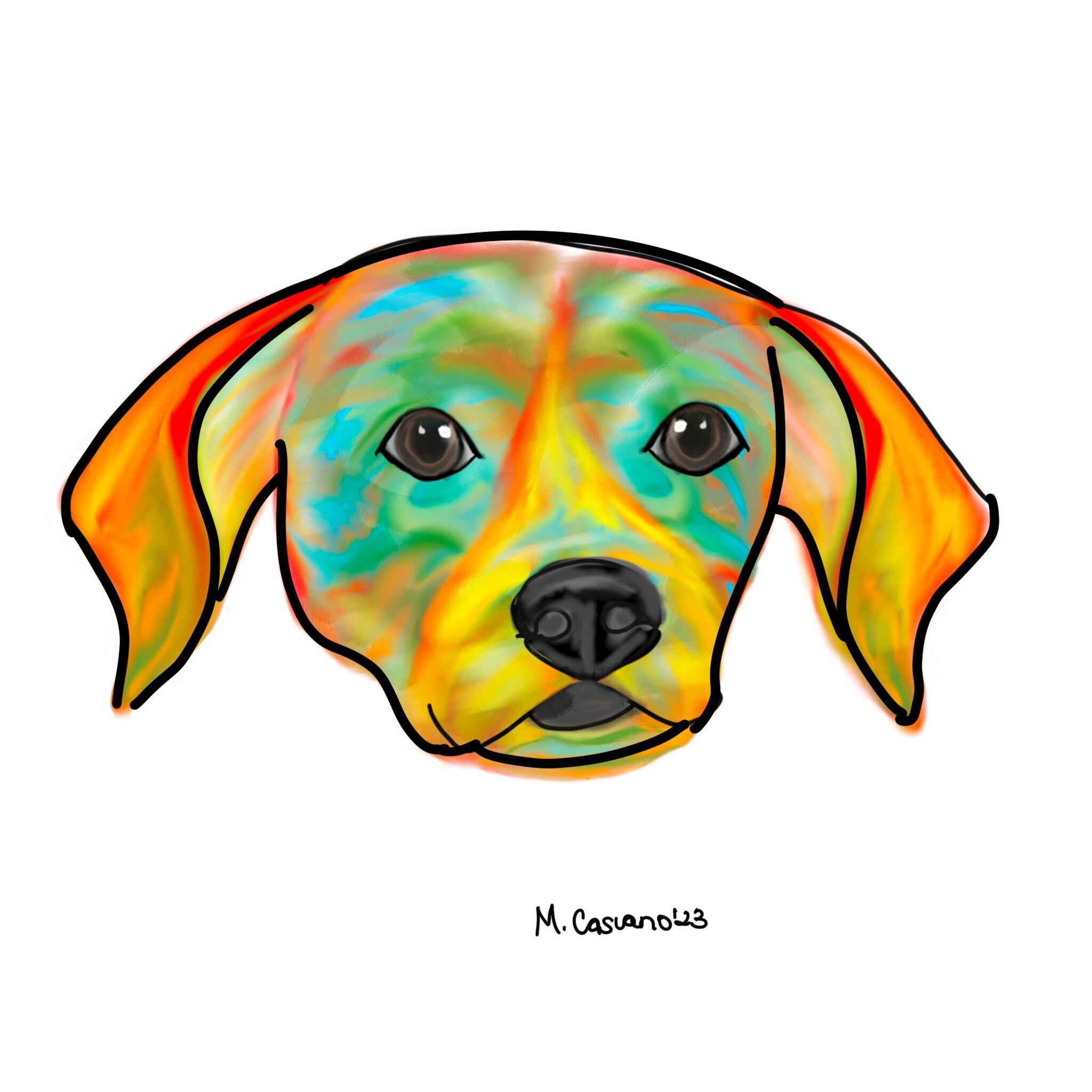 Custom Chiweenie Pop Of Color Portraits