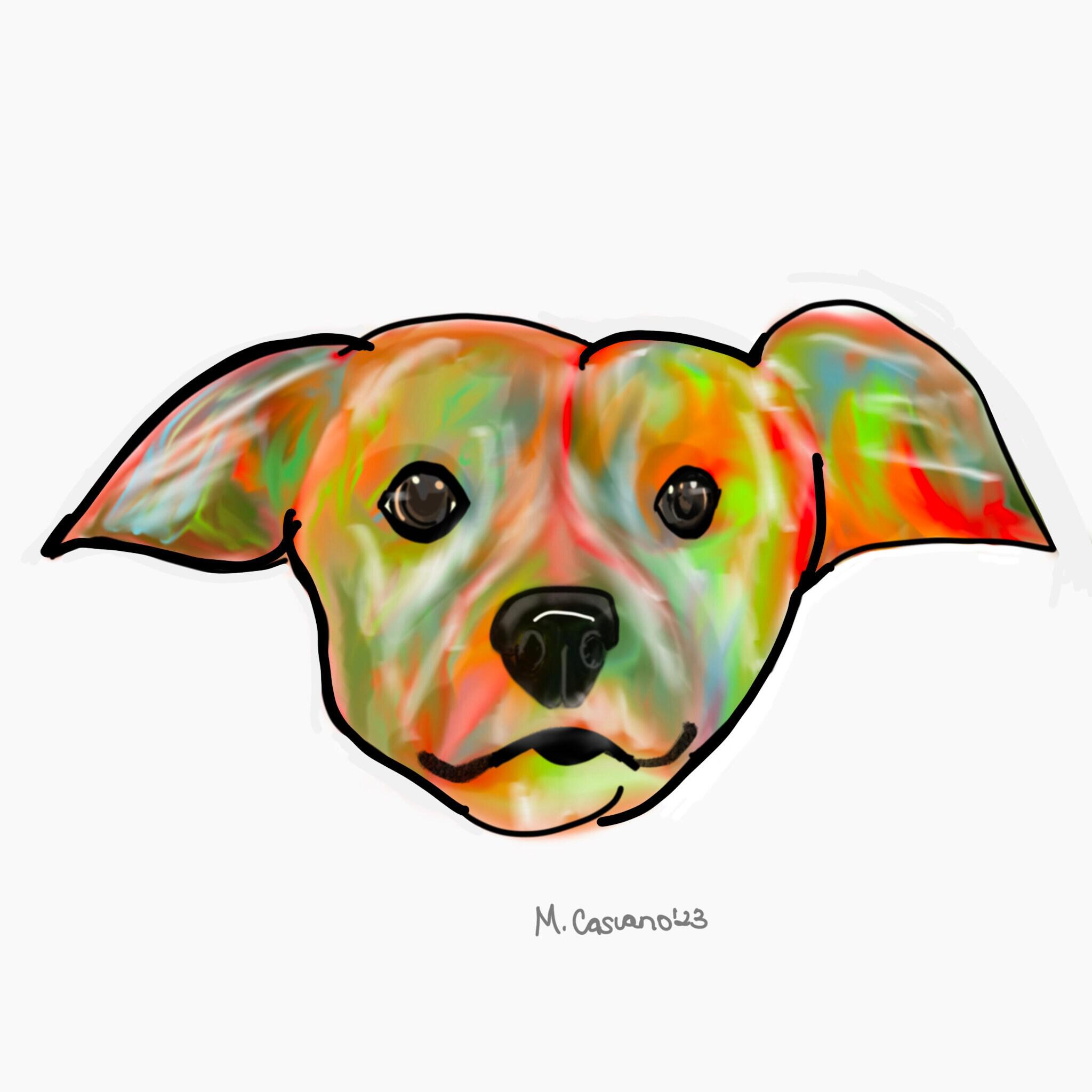 Custom Chiweenie Pop Of Color Portraits
