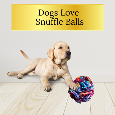 Home & Living :: Pets :: Pet Toys :: Snuffle Ball for Dogs, Cats or Farrets