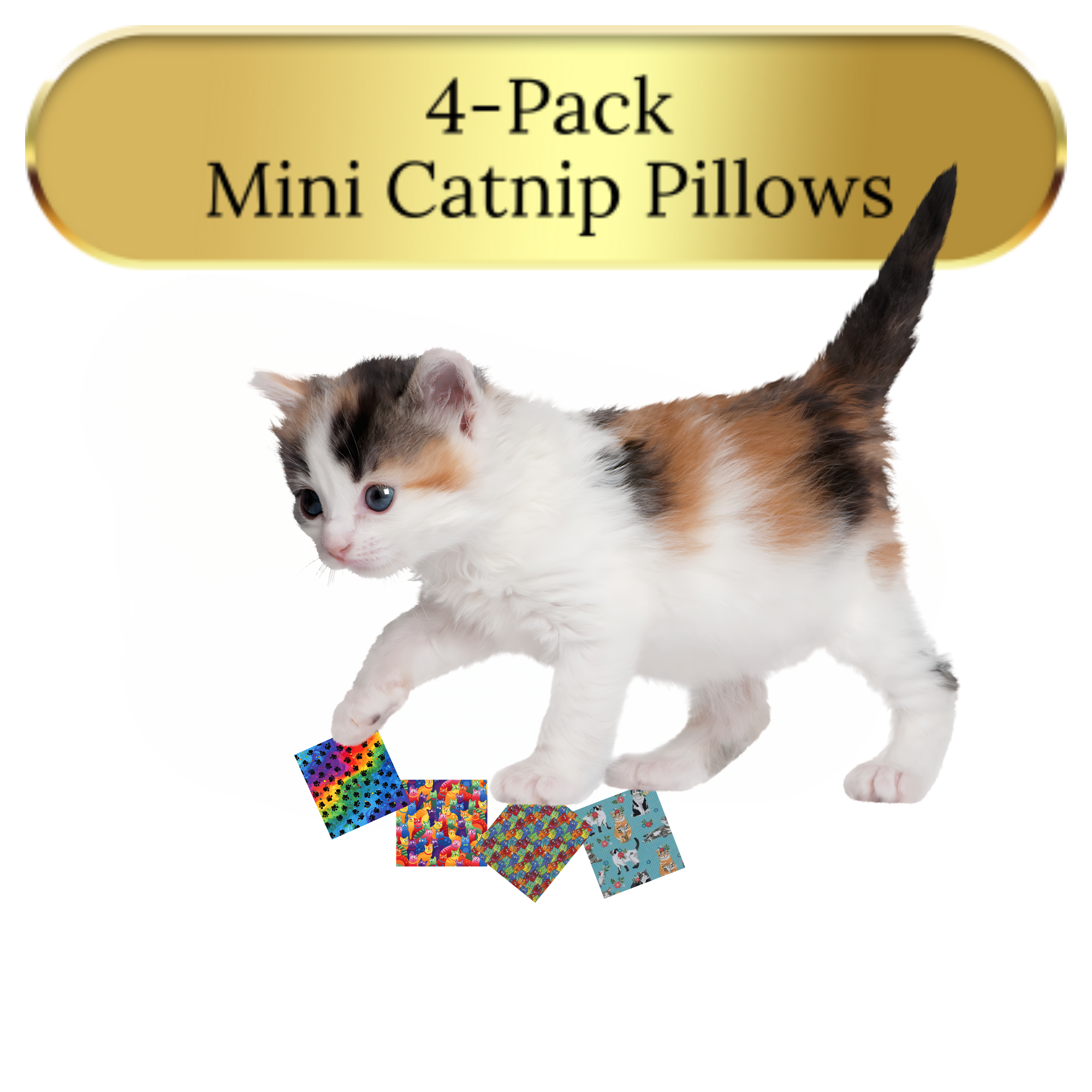 Home & Living :: Pets :: Pet Toys :: Catnip Cat Toy Box