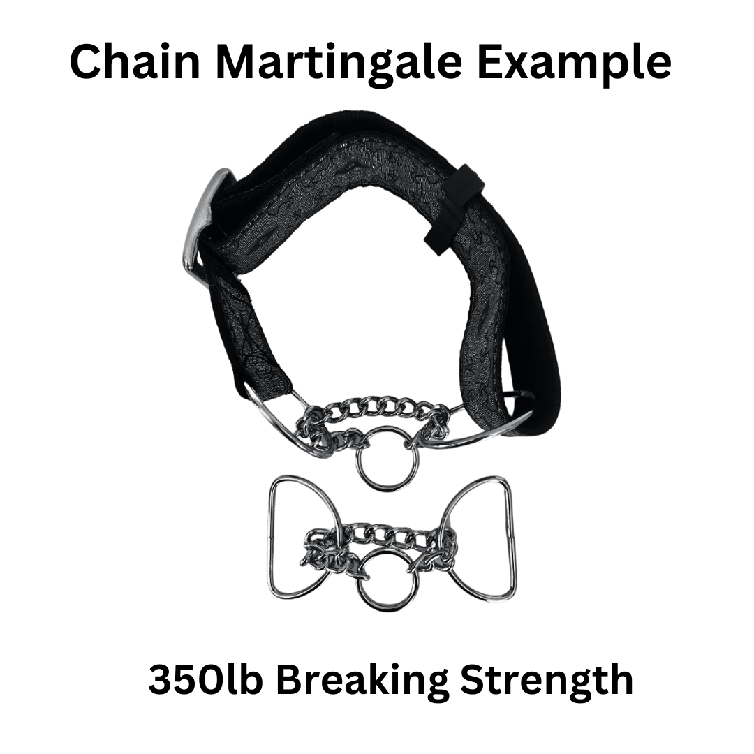 Home & Living :: Pets :: Collars & Leashes :: Kiwi | 2" Wide Fabric ...