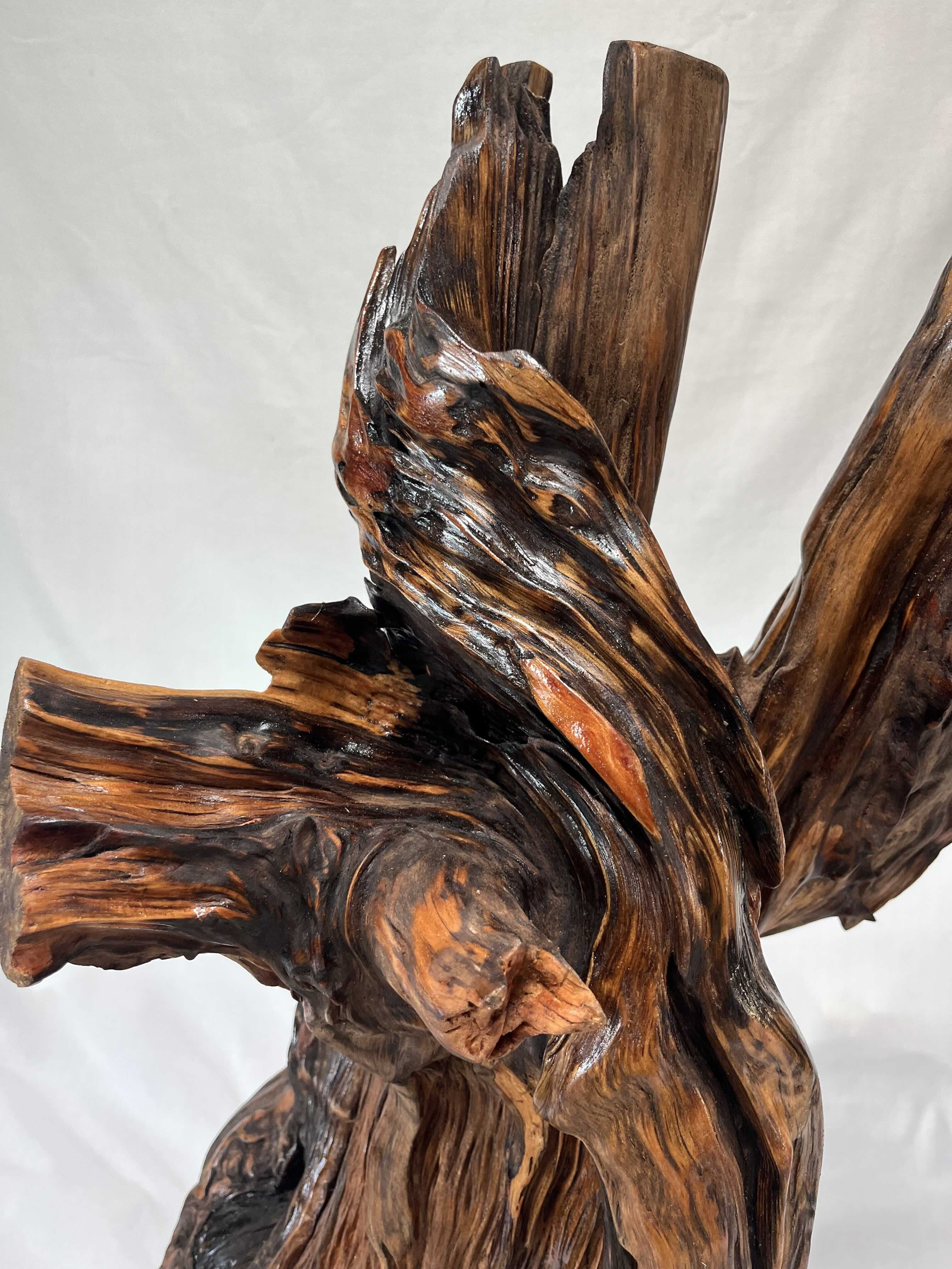 Hand-Shaped, Vintage Douglas Fir Root Nature Altar: ‘Root Heart’